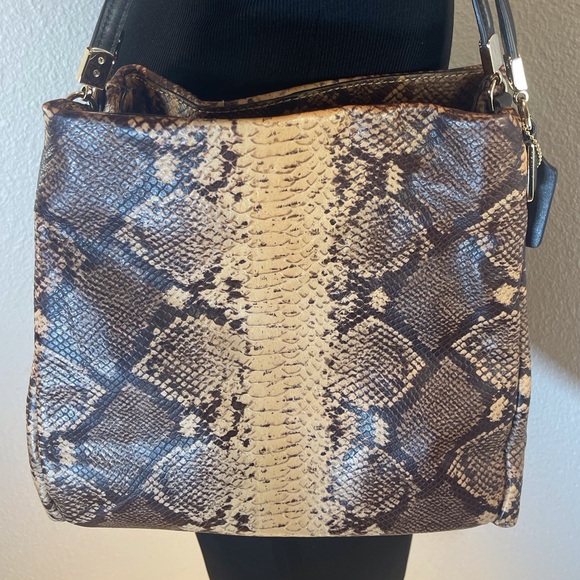 Coach | Bags | Nwt Coach Snake Phoebe Embossed Leather Shoulder Tote ...